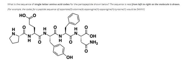 Solved What is the sequence of single letter amino acid | Chegg.com