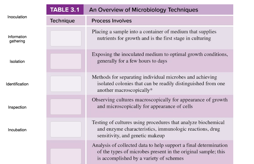 Solved TABLE 3.1 An Overview of Microbiology Techniques | Chegg.com