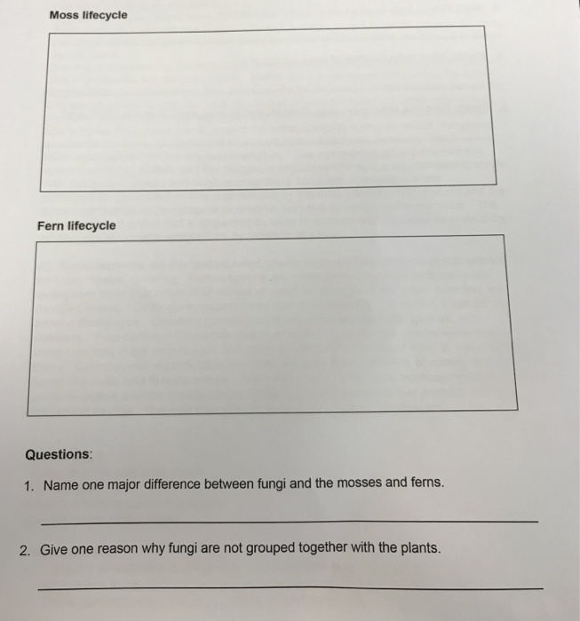 Solved Moss lifecycle Fern lifecycle Questions: 1. Name one | Chegg.com