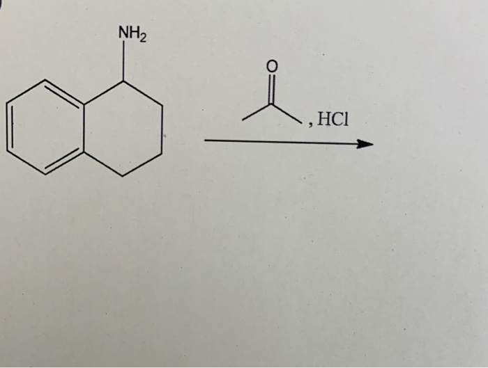 Solved NH2 HCl | Chegg.com