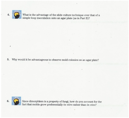 Solved 4. What is the advantage of the slide culture | Chegg.com