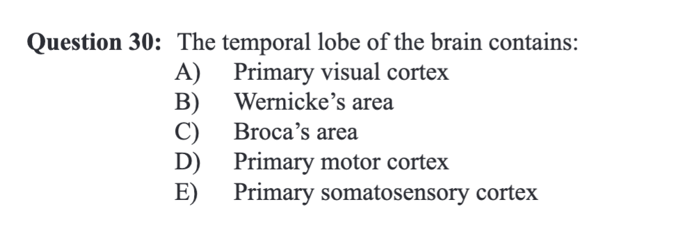 Solved Question 30: The temporal lobe of the brain contains: | Chegg.com