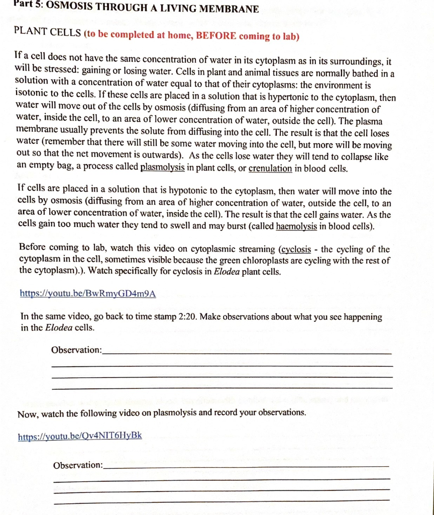 Part 5: OSMOSIS THROUGH A LIVING MEMBRANE PLANT CELLS | Chegg.com