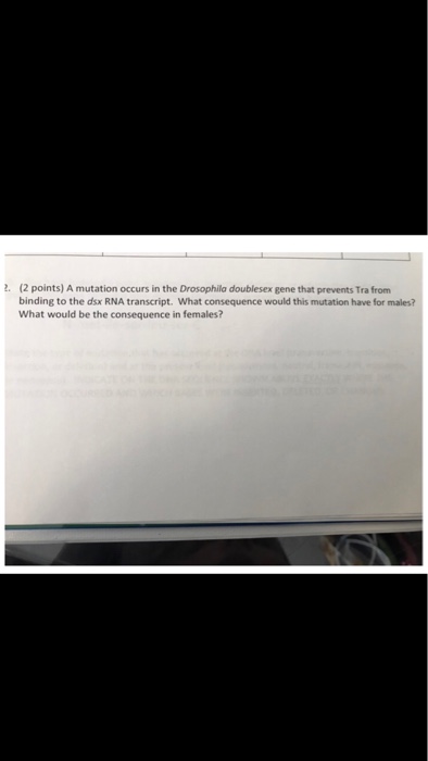 Solved 2. (2 points) A mutation occurs in the Drosophila | Chegg.com