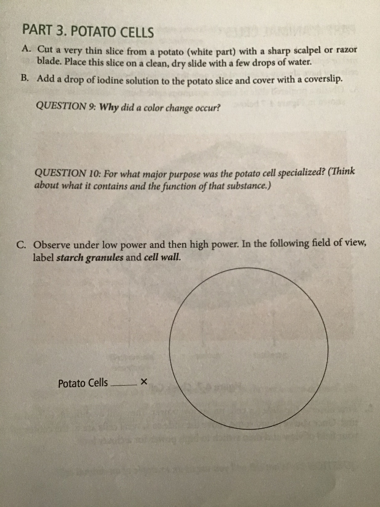 Solved PART 3. POTATO CELLS A. Cut a very thin slice from a | Chegg.com