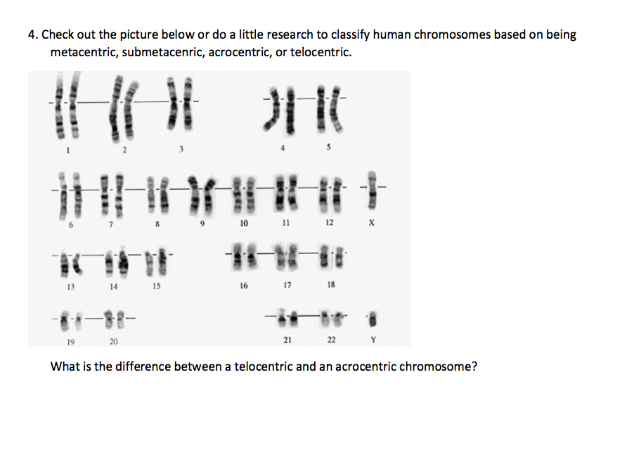 Solved 4. Check out the picture below or do a little | Chegg.com