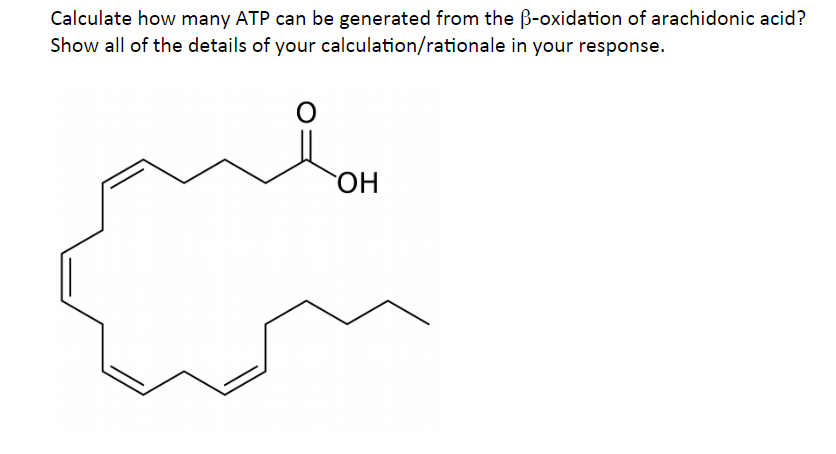 Calculate how many ATP can be generated from the Beta | Chegg.com