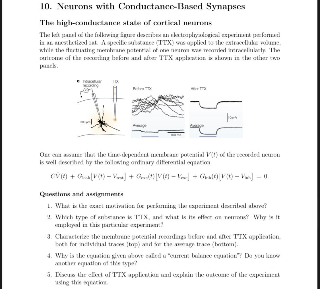 Solved 10. Neurons with Conductance-Based Synapses The | Chegg.com