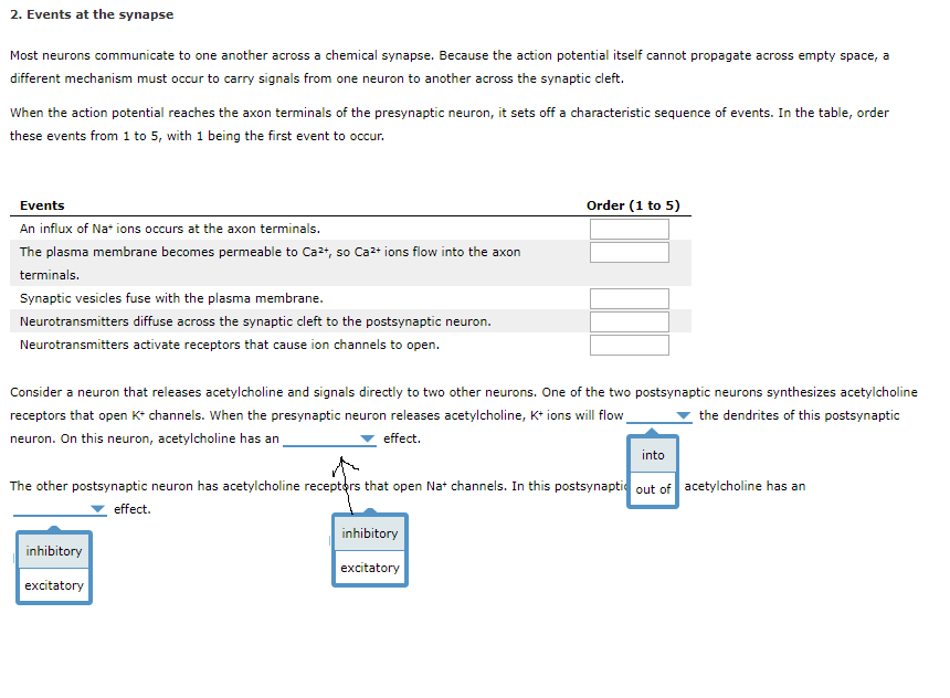 Solved 2. Events at the synapse Most neurons communicate to | Chegg.com