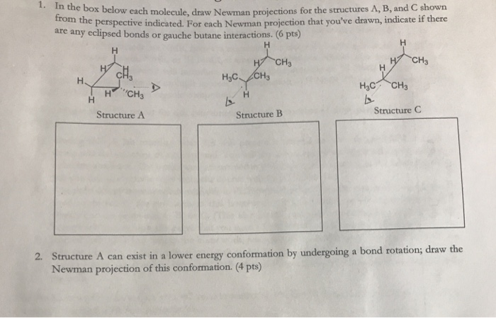 Solved In the box below each molecule, draw Newman | Chegg.com