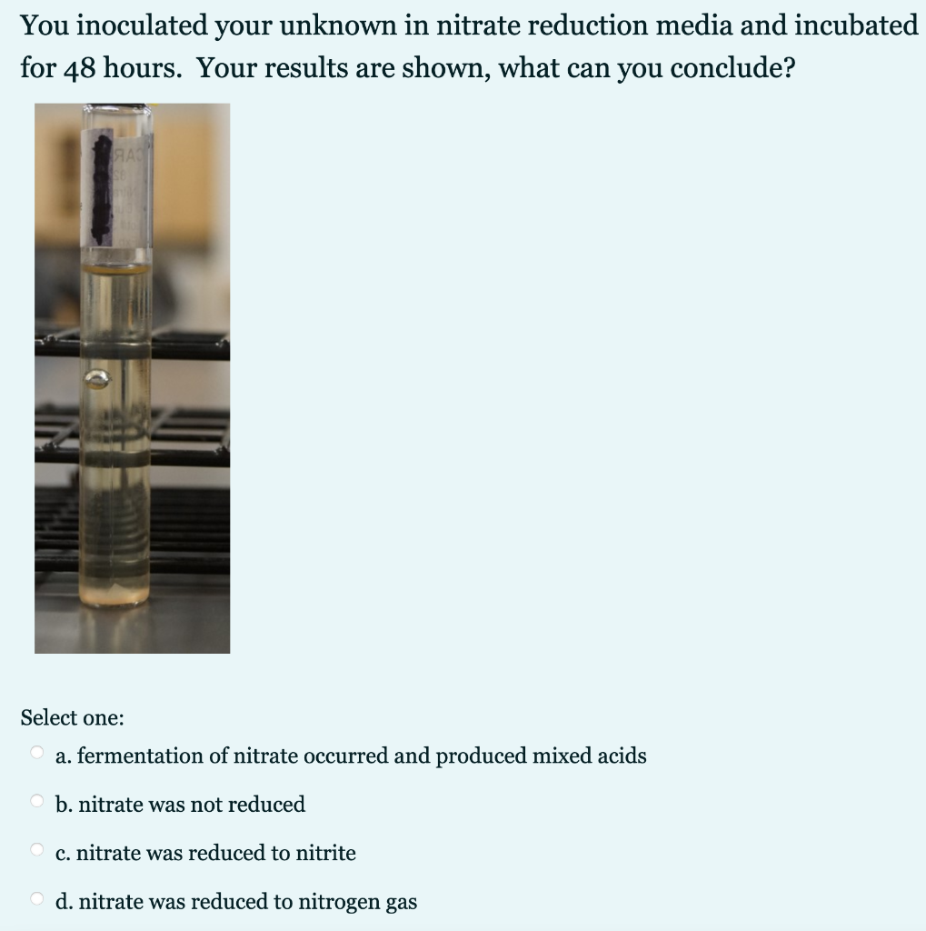 Solved You inoculated your unknown in MR/VP broth, incubated | Chegg.com