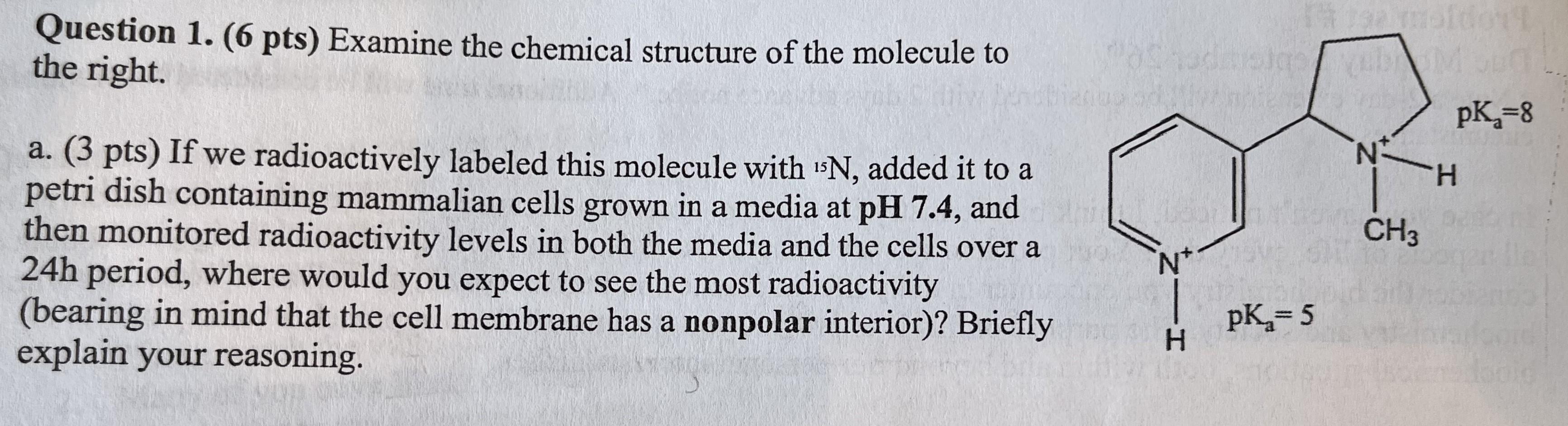 Solved Question 1. (6 pts) Examine the chemical structure of | Chegg.com