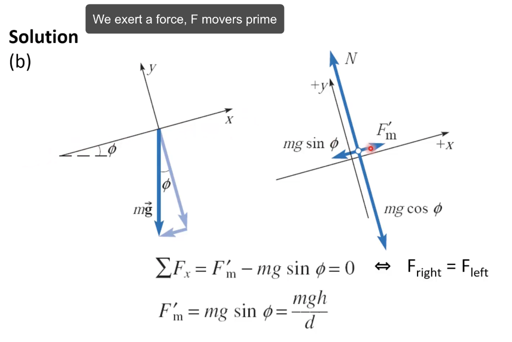 Solved What does the F'mprime or F prime mean. What is meant | Chegg.com