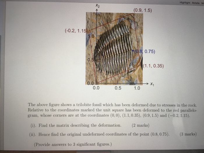 Solved Highlight Rotate Ma (-0.2, 1.15 08 0.75) 0.0 0.0 0.5 | Chegg.com