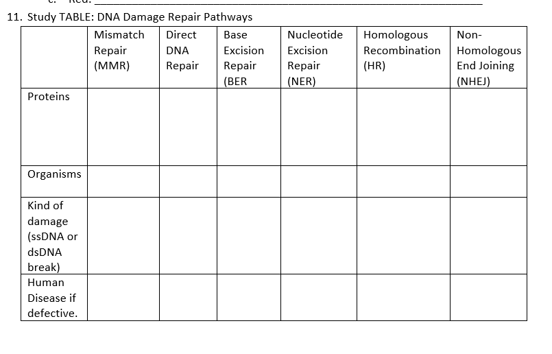 11. Study TABLE: DNA Damage Repair Pathways Mismatch | Chegg.com