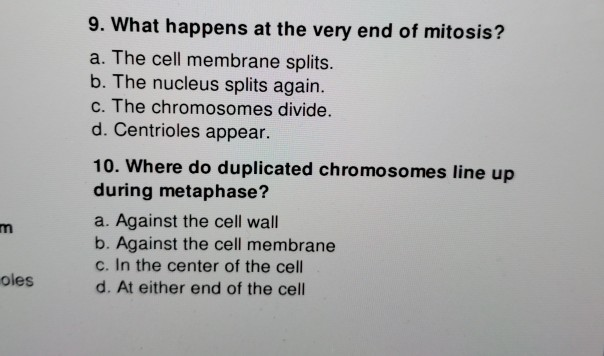Solved 9 What Happens At The Very End Of Mitosis A The Chegg solved-9-what-happens-at-the-very-end-of-mitosis-a-the-chegg