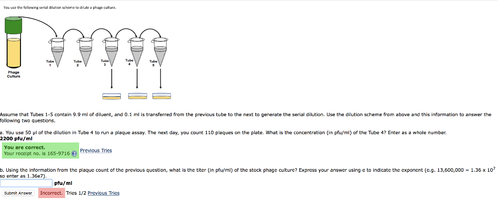 Solved You use the following serial dilution scheme to | Chegg.com