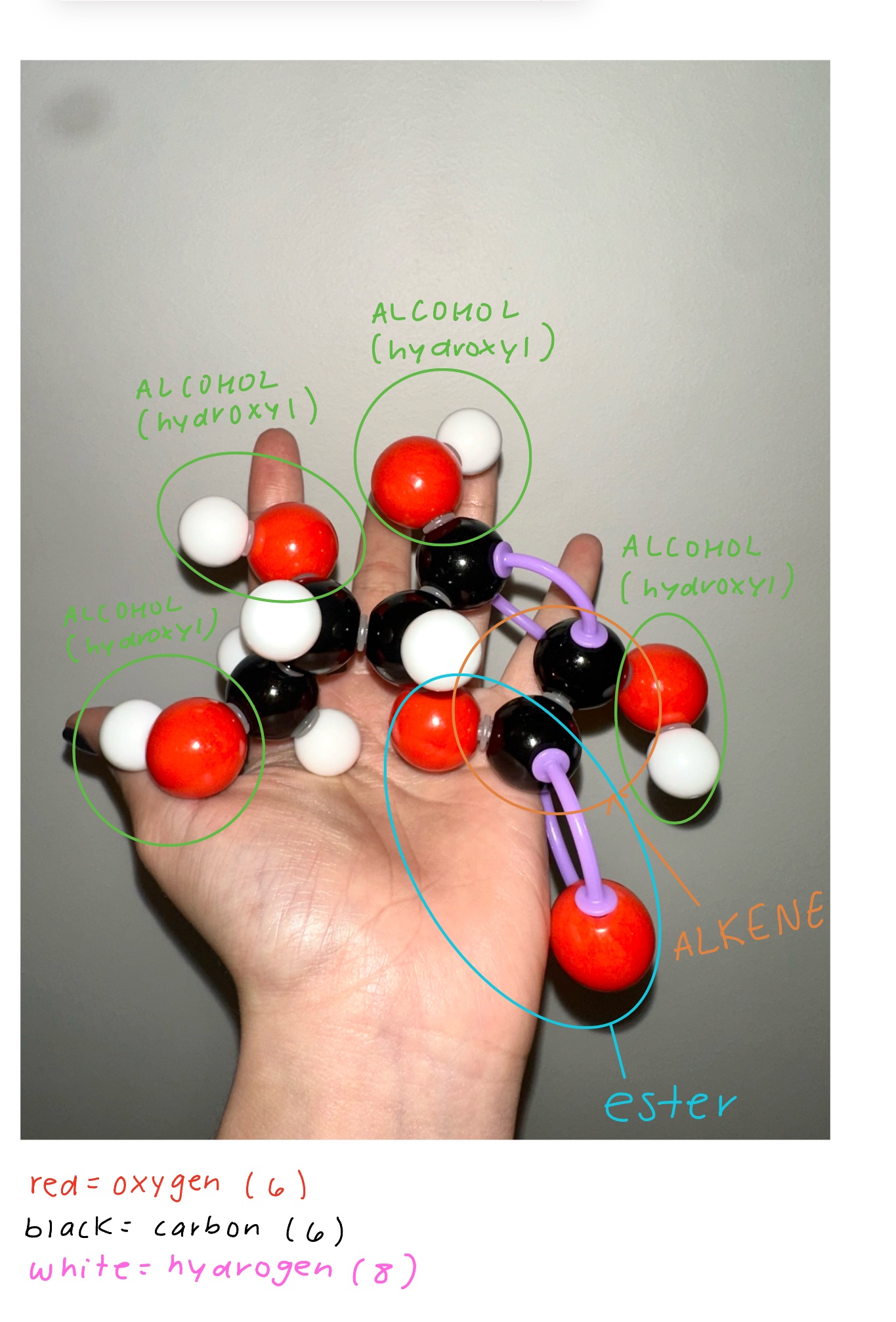 Solved PLEASE CIRCLE AND INDICATE THE MOLECULAR GEOMETRY OF | Chegg.com