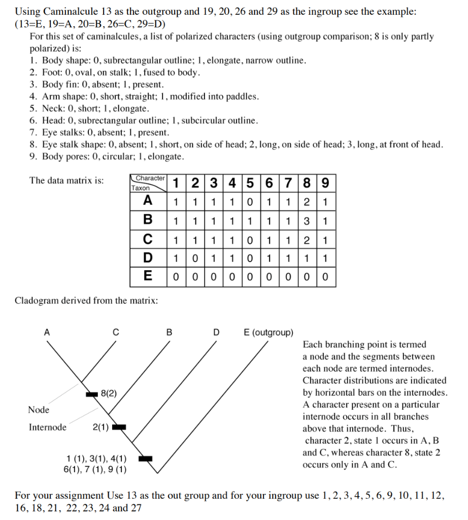 Solved Construct a cladogram (as in the example below) for | Chegg.com