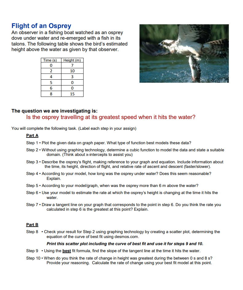 Solved Flight of an Osprey An observer in a fishing boat | Chegg.com