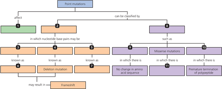 Solved solve the concept map Change in DNA | Chegg.com
