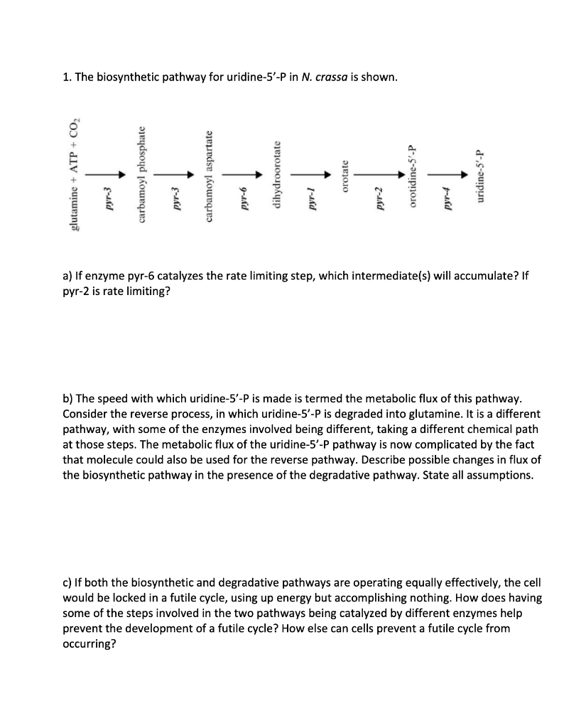 Solved 1. The biosynthetic pathway for uridine-5'-P in N. | Chegg.com