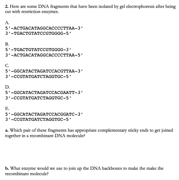 Solved 2. Here are some DNA fragments that have been | Chegg.com