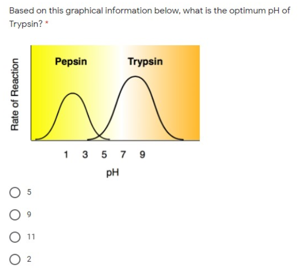 Solved Based on this graphical information below, what is | Chegg.com