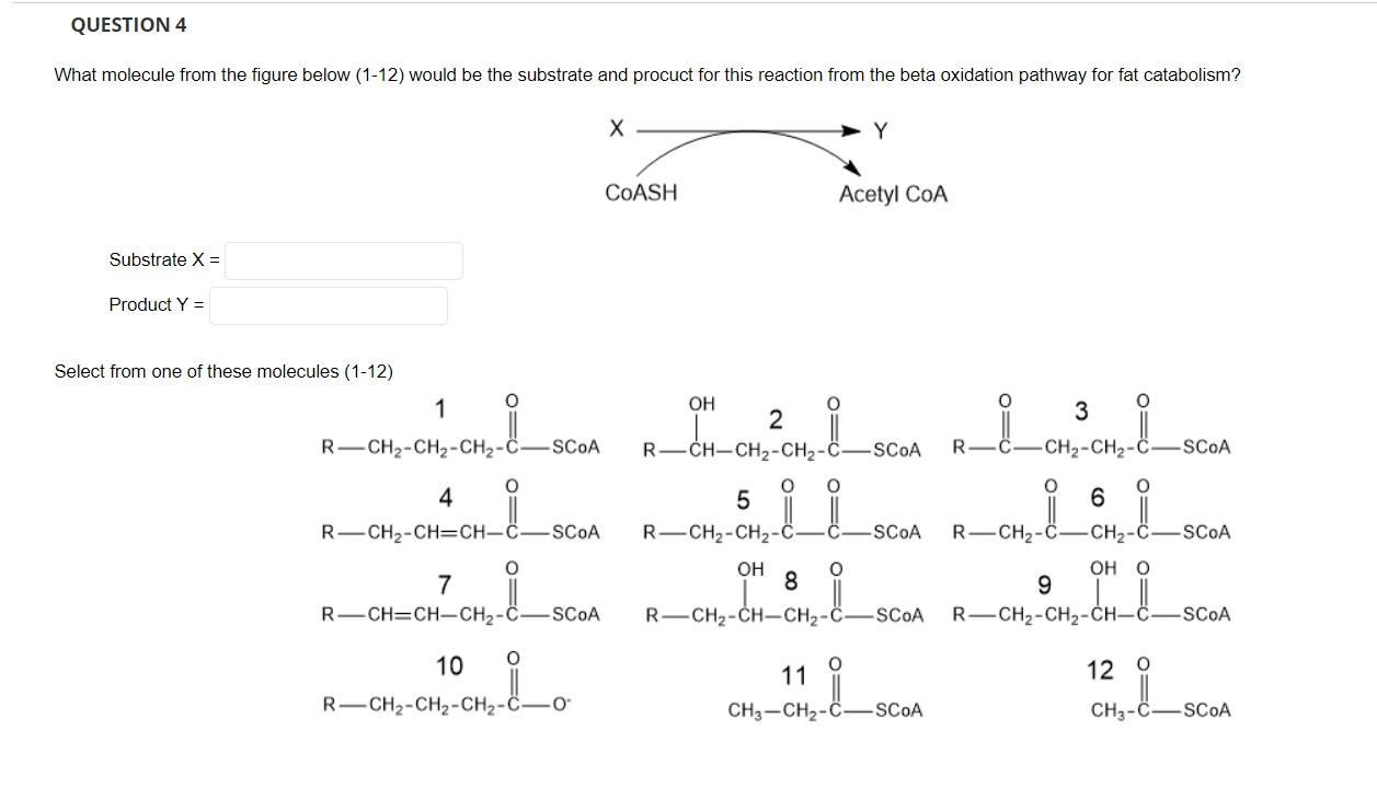 Substrate X= Product Y= Select from one of thoon | Chegg.com