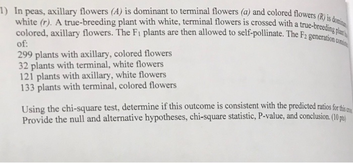 Solved 1) In peas, axillary flowers (A) is dominant to | Chegg.com
