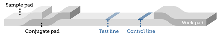 Solved The dimensions of the test line in the device | Chegg.com