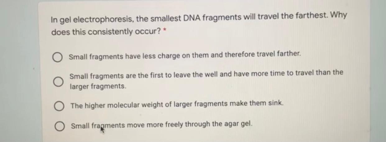 Solved In gel electrophoresis, the smallest DNA fragments | Chegg.com