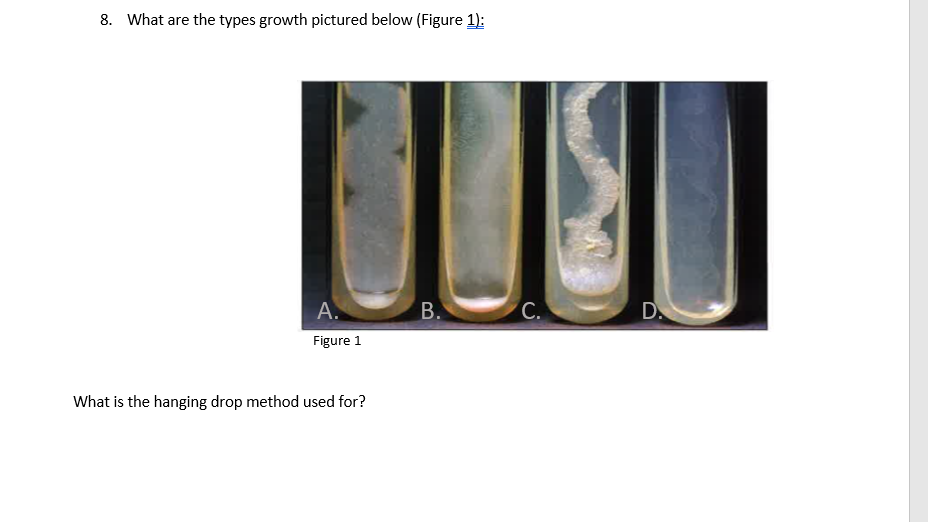 Solved 8. What are the types growth pictured below (Figure | Chegg.com