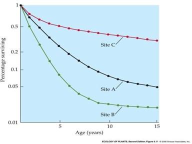Solved A) What is “reproductive value (Vx)”? How is it | Chegg.com