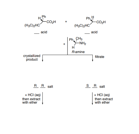 Solved A scheme for resolution of a racemic carboxylic acid | Chegg.com