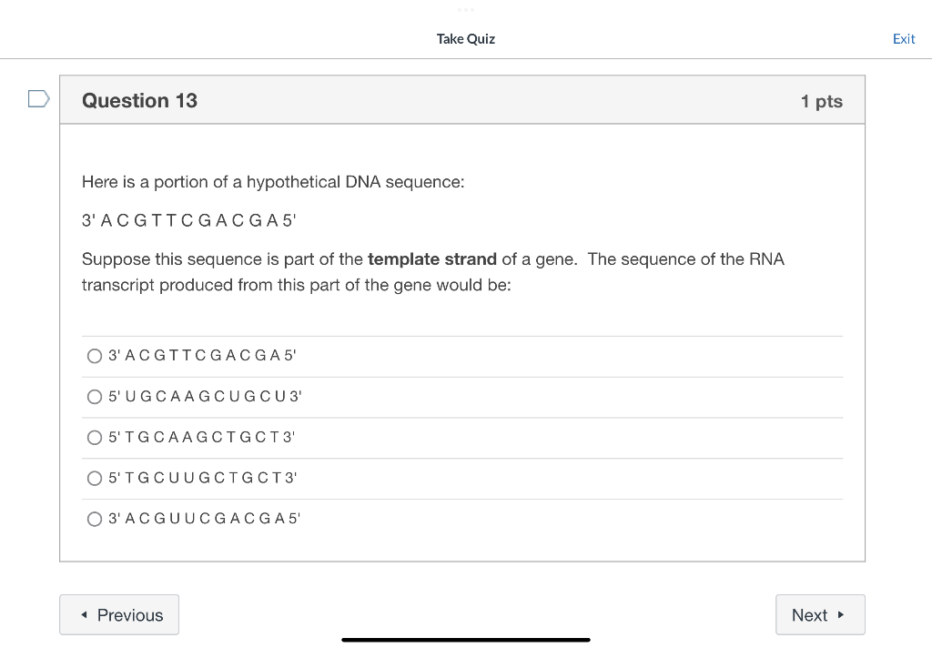 Solved Here is a portion of a hypothetical DNA sequence: 3' | Chegg.com