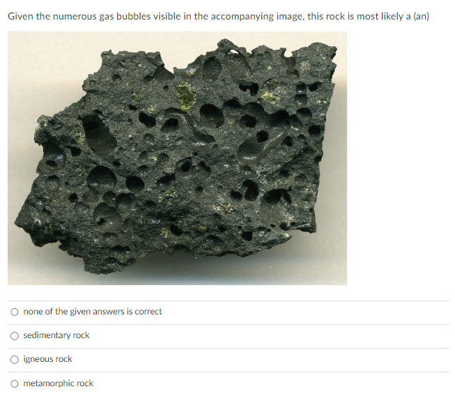 Solved Given the numerous gas bubbles visible in the | Chegg.com