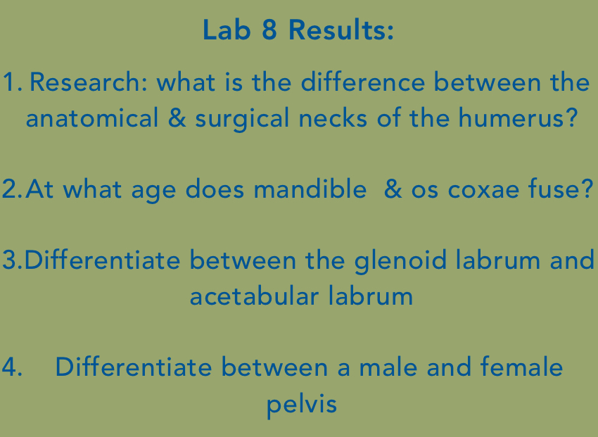 Solved Lab 8 ﻿Results: Research: what is the difference | Chegg.com