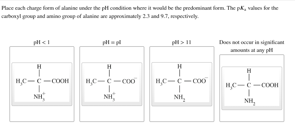 Solved Place each charge form of alanine under the pH | Chegg.com