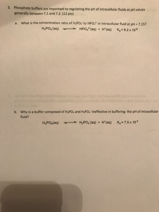 Solved 3. Phosphate buffers are important to regulating the | Chegg.com