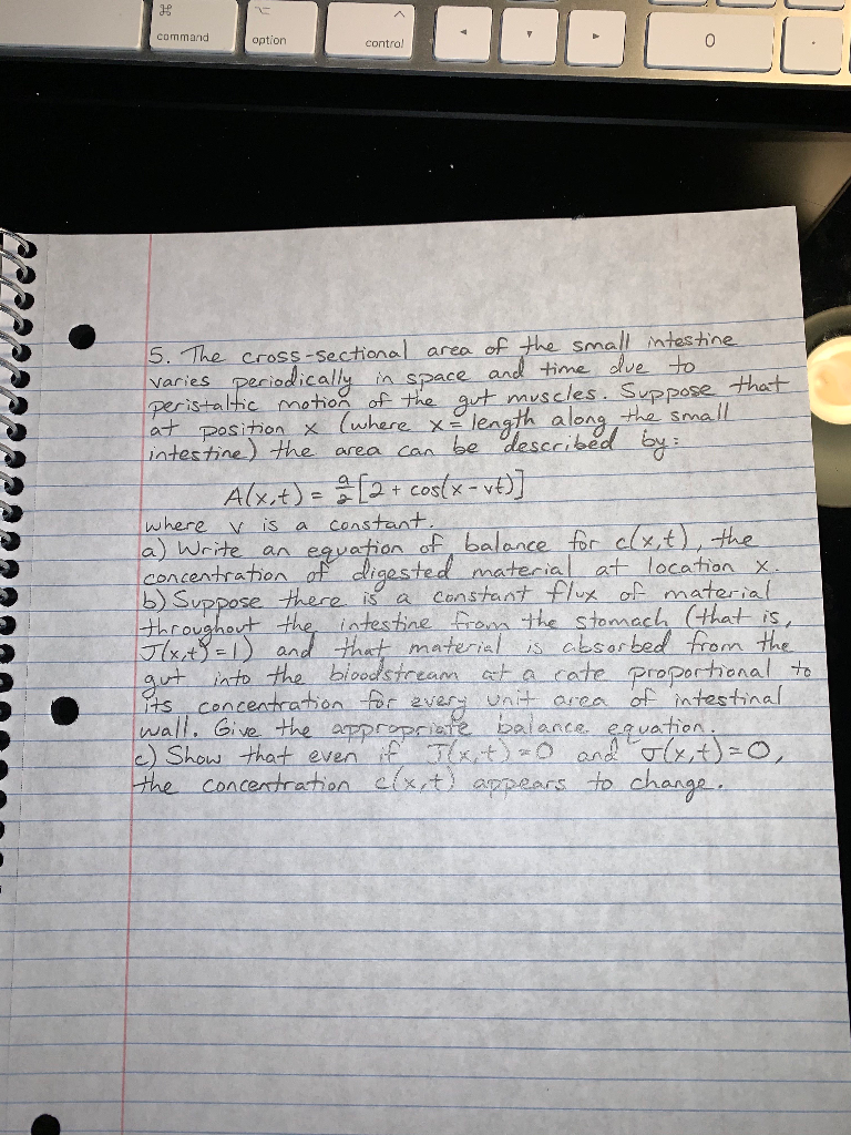 command option control VUUGCdocececece 5. The | Chegg.com