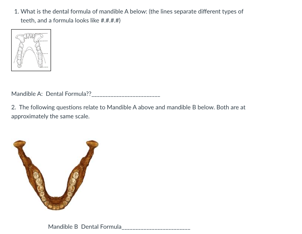 Solved 3. Compare the size of the canines on mandible A | Chegg.com