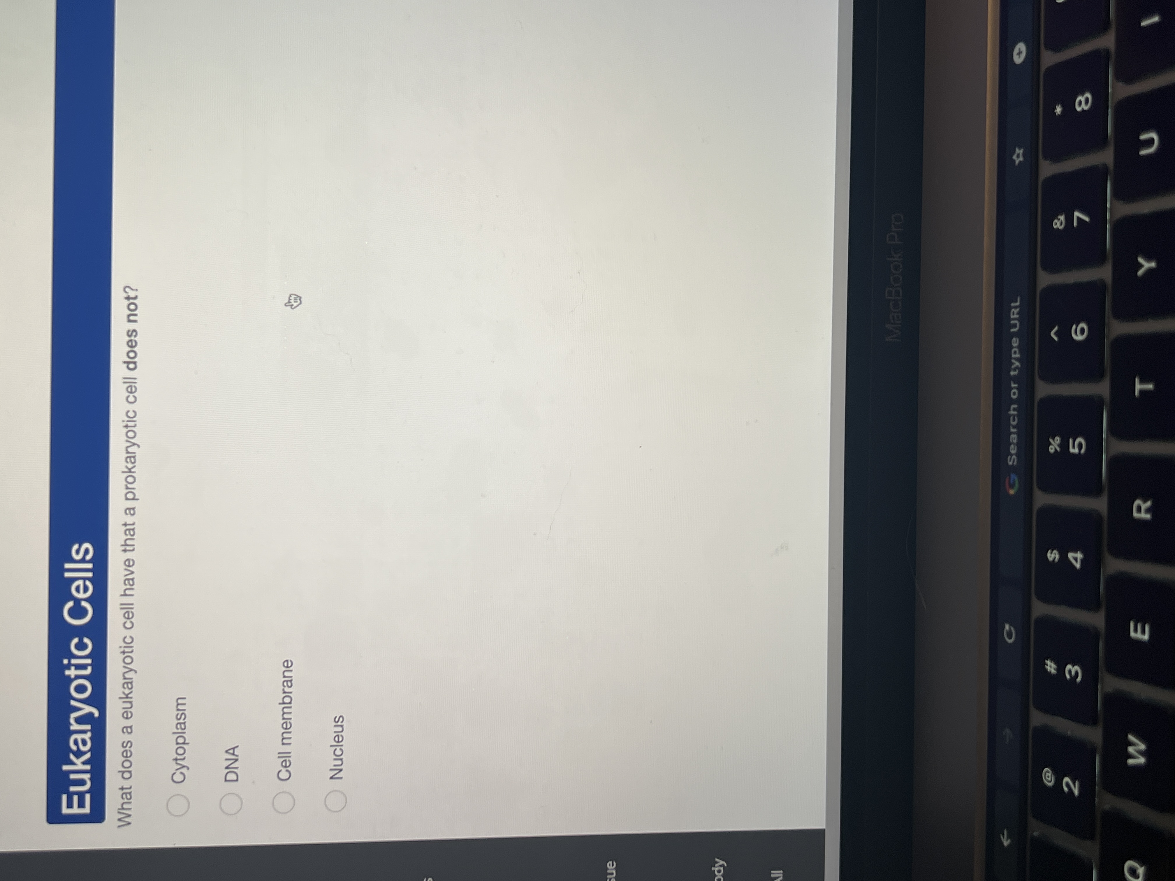 Solved Eukaryotic CellsWhat does a eukaryotic cell have that | Chegg.com