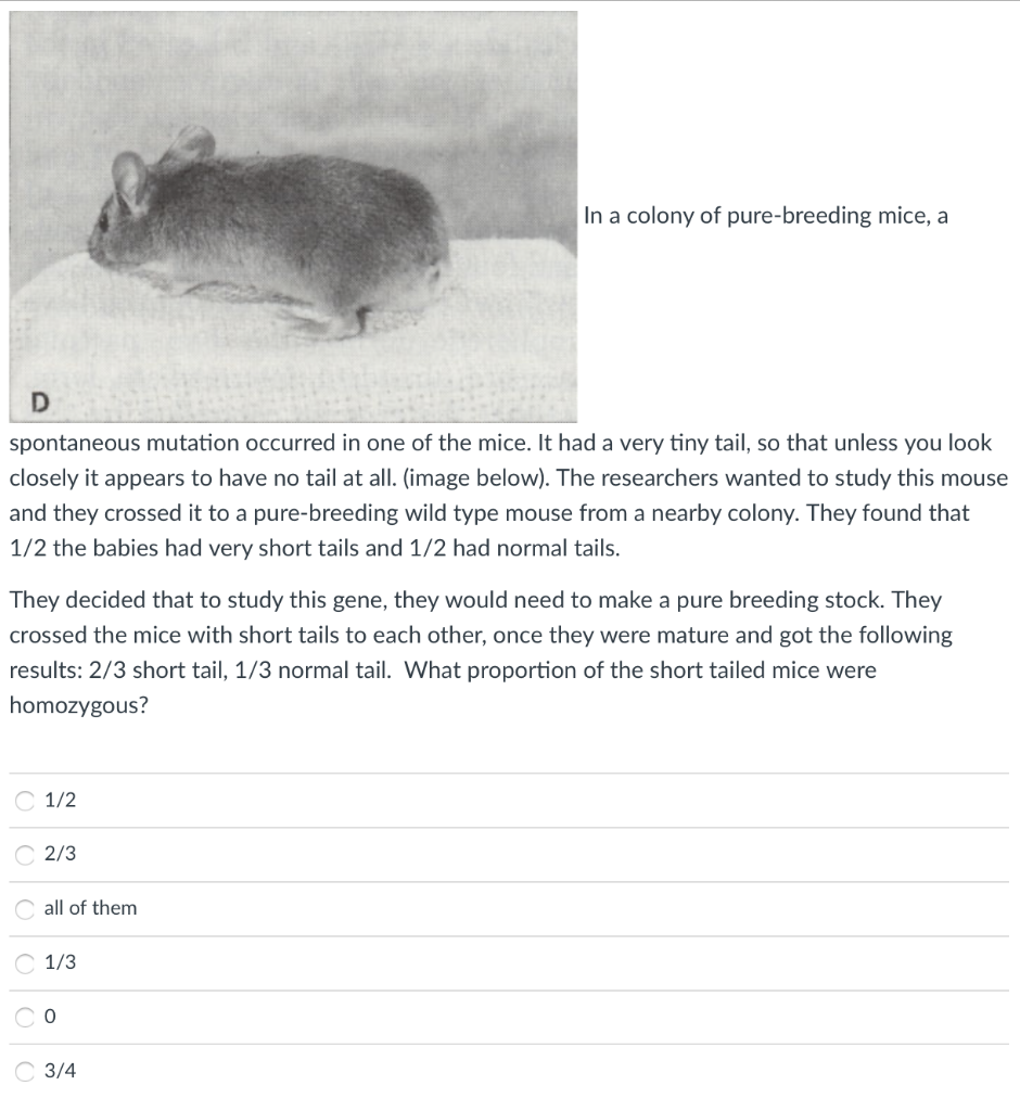 Solved In a colony of pure-breeding mice, a D spontaneous | Chegg.com