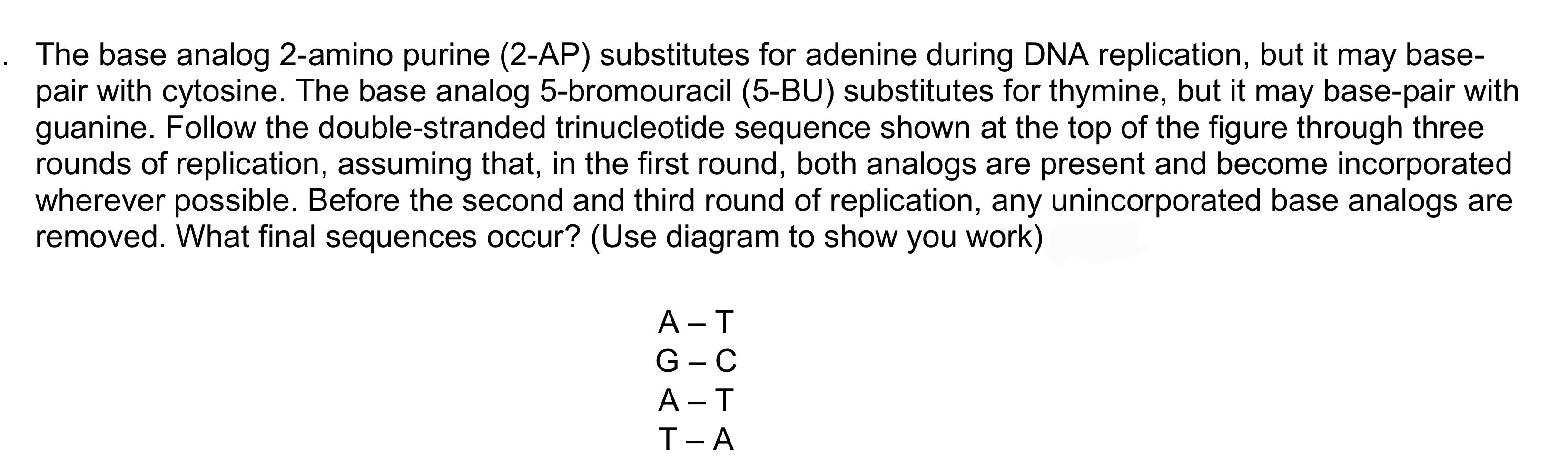 Solved · The base analog 2-amino purine (2-AP) substitutes | Chegg.com