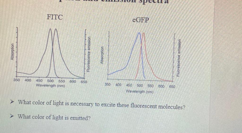 Solved FITC eGFP Absorption 350 00 450 500 550 Wavelength in | Chegg.com
