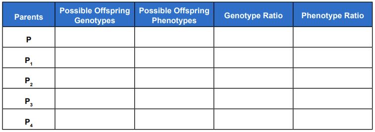 Solved EXPERIMENT 1: PUNNETT SQUARE CROSSES In this | Chegg.com