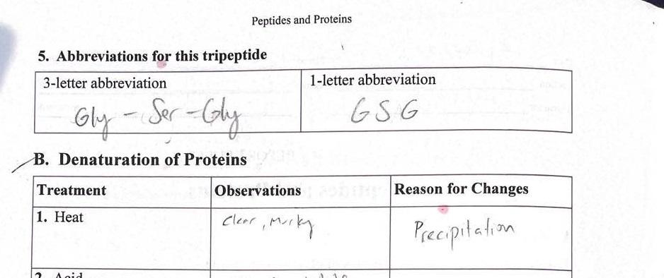 Solved Consider the following two peptides from section A of | Chegg.com