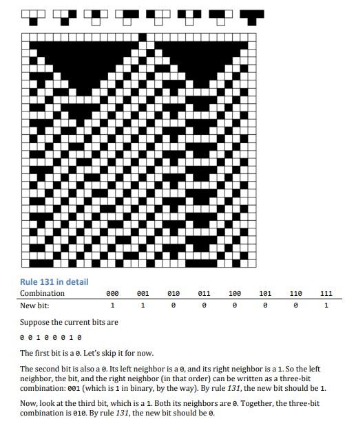 Solved Overview A cellular automaton is a sequence of bits | Chegg.com
