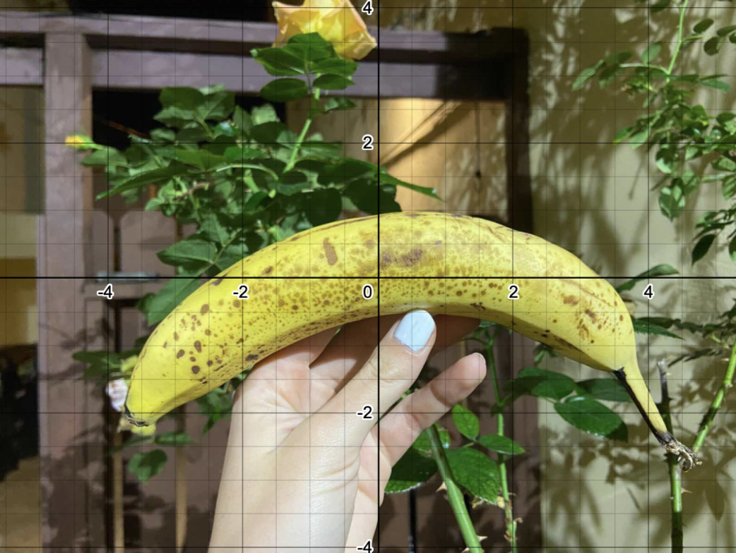 Solved Quadratic Image- In a paragraph or two, describe | Chegg.com